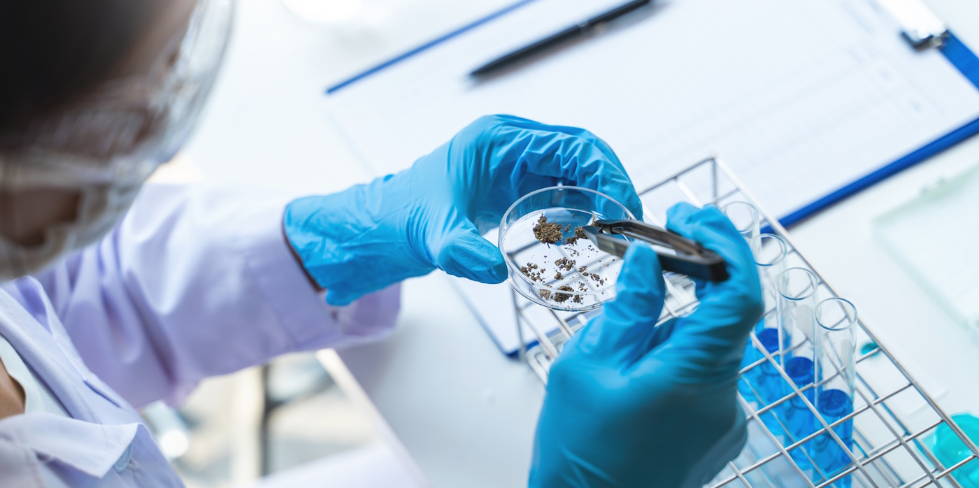 Life Sciences Bridge Award Offers €100,000 to Early Career Researchers ...